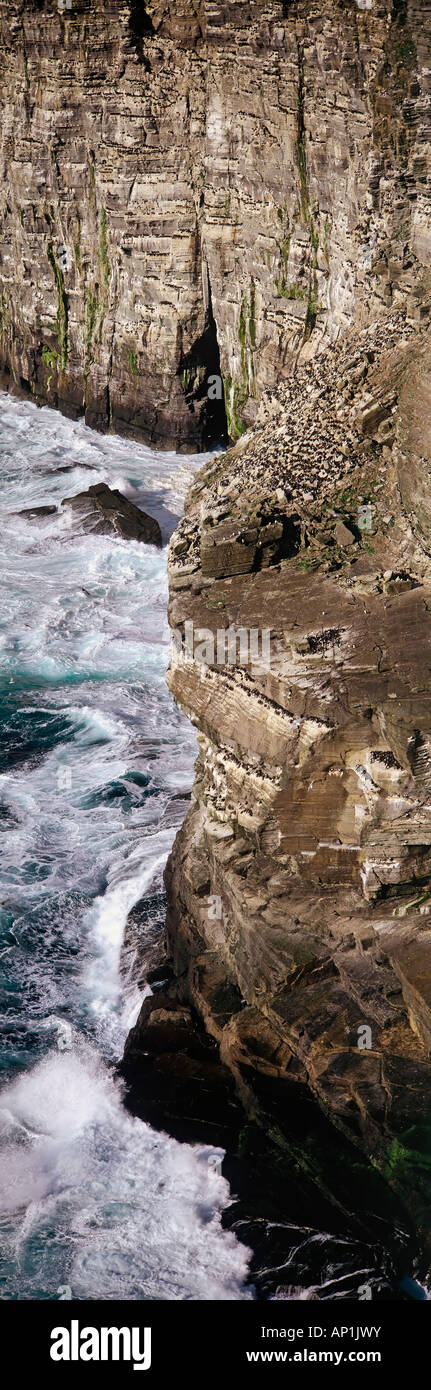 Rspb marwick head hi-res stock photography and images - Alamy