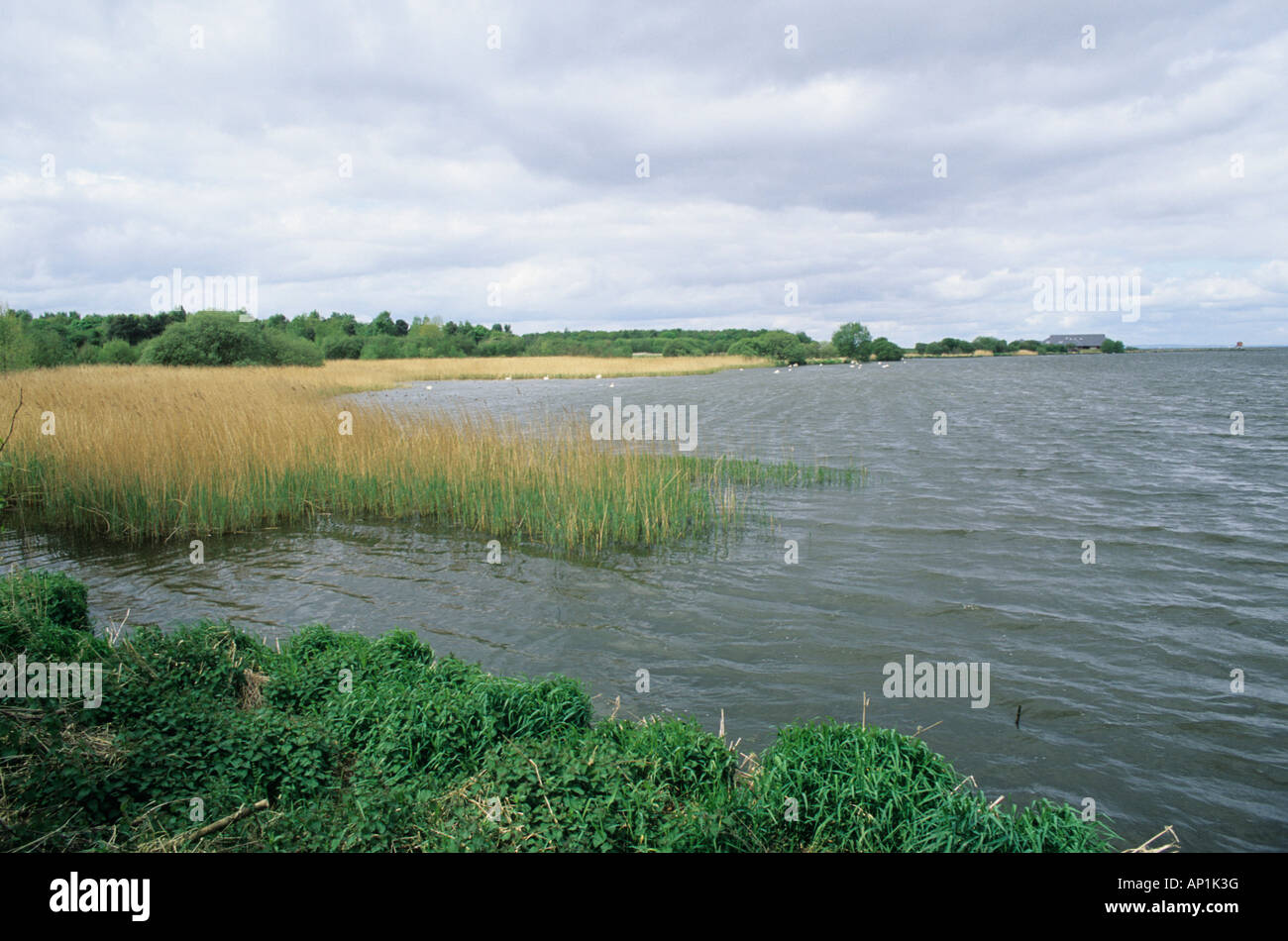 Oxford Island on Lough Neagh Northern Ireland Stock Photo - Alamy