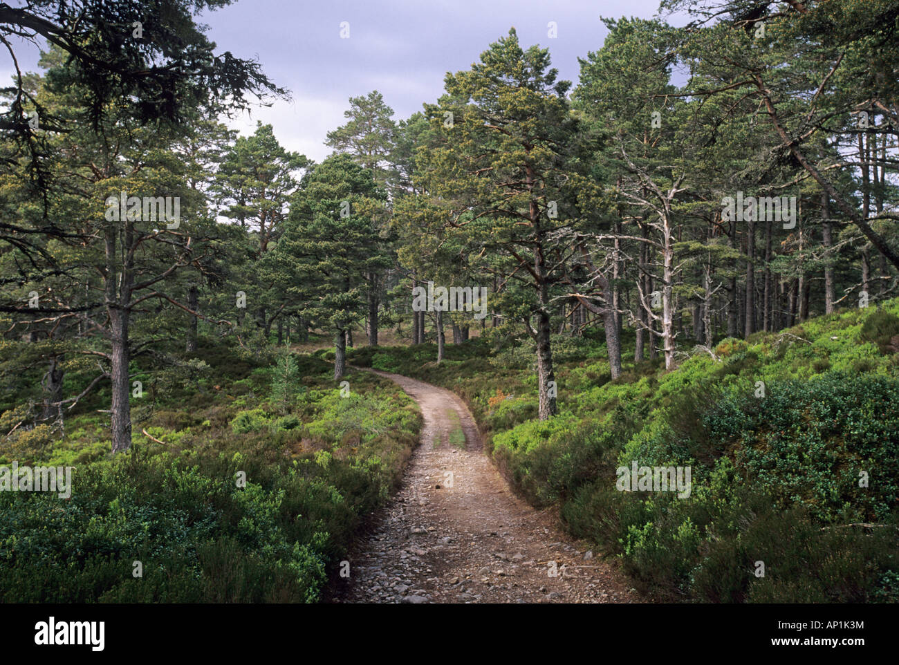 Abernethy hi-res stock photography and images - Alamy