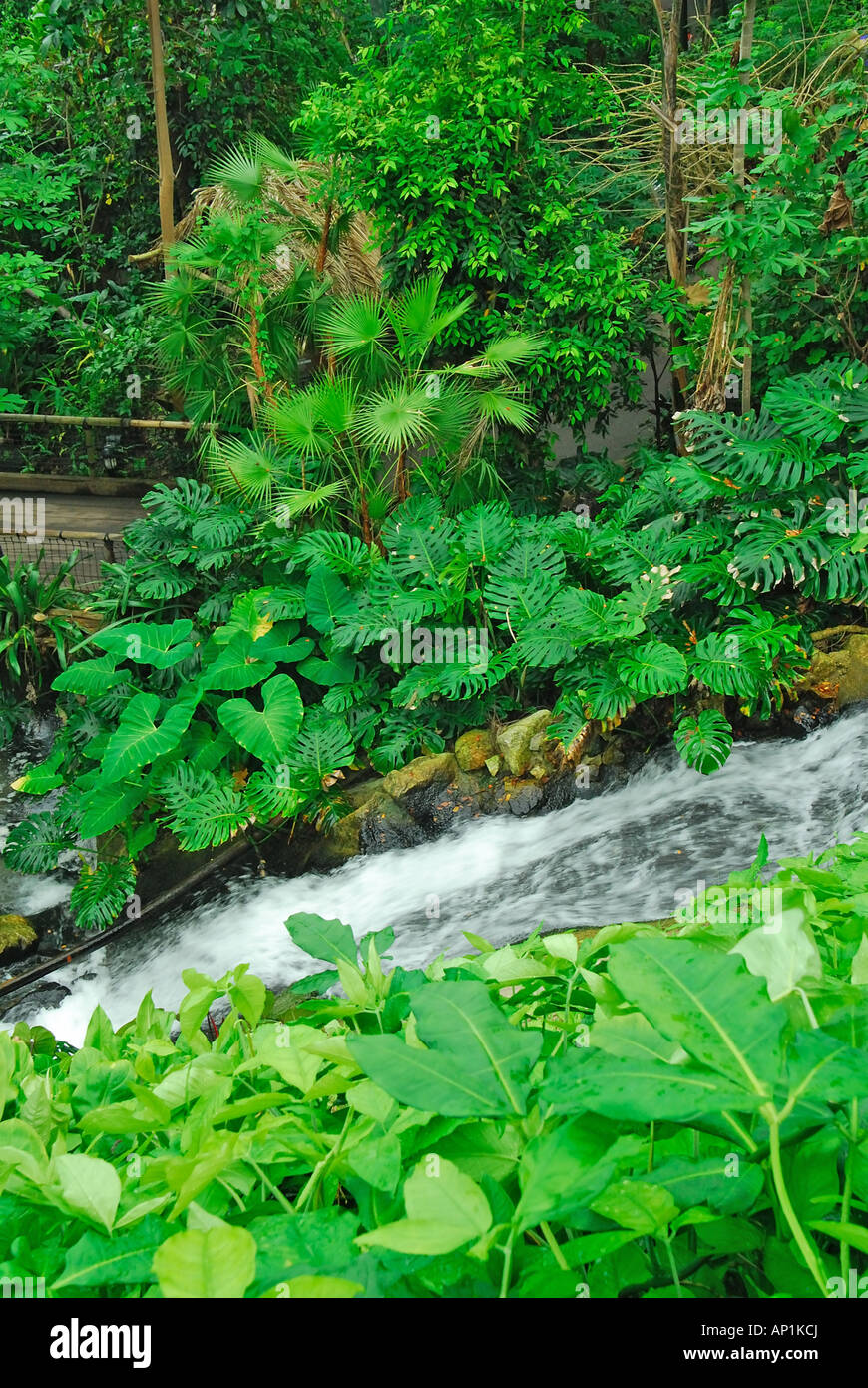 Eden project cornwall waterfall hi-res stock photography and images - Alamy