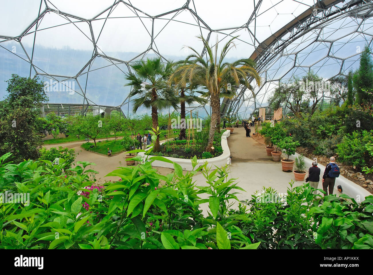 Eden Project, Cornwall, UK Stock Photo - Alamy