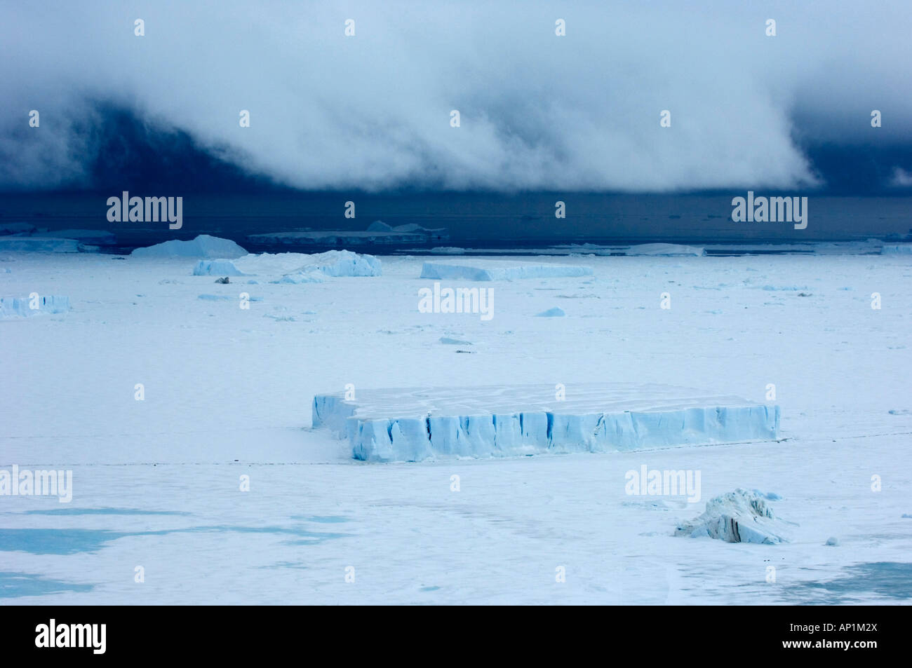 Icebergs stuck in fast ice of the frozen Weddell Sea near Snow Hill ...