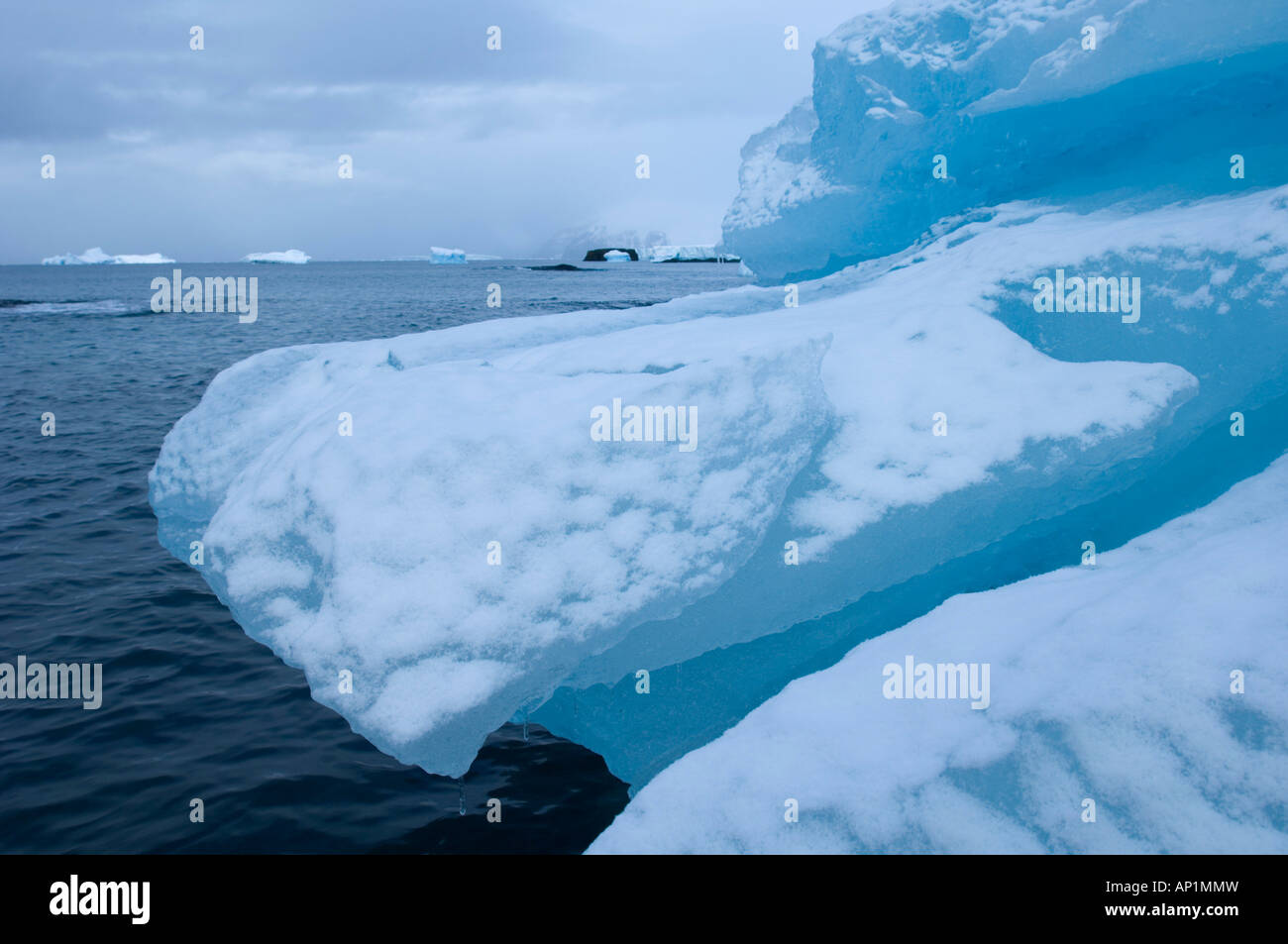 Part of a blue iceberg grounded on the shore Brown Bluff Antarctic ...