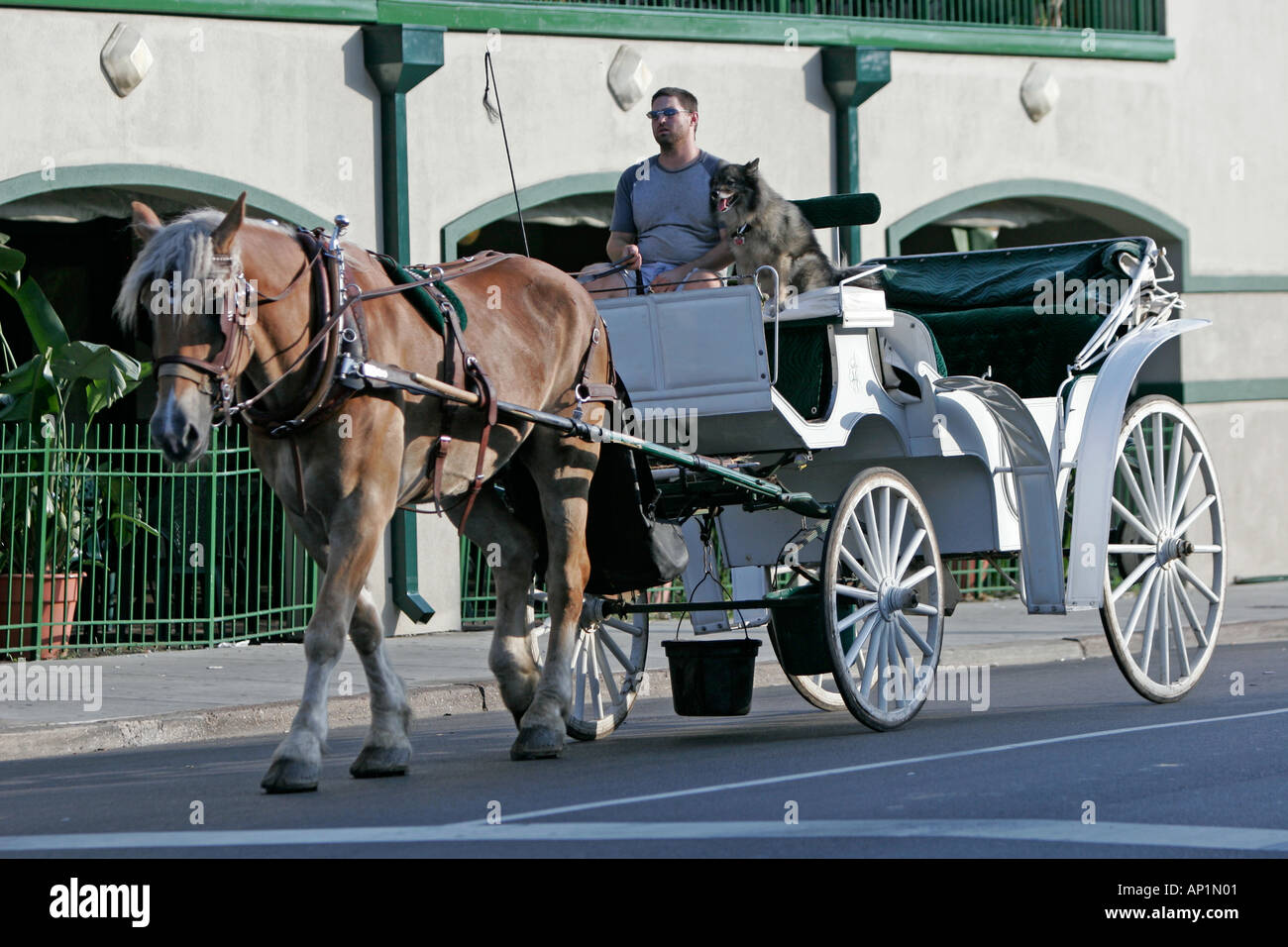Open horse carriage hi-res stock photography and images - Alamy