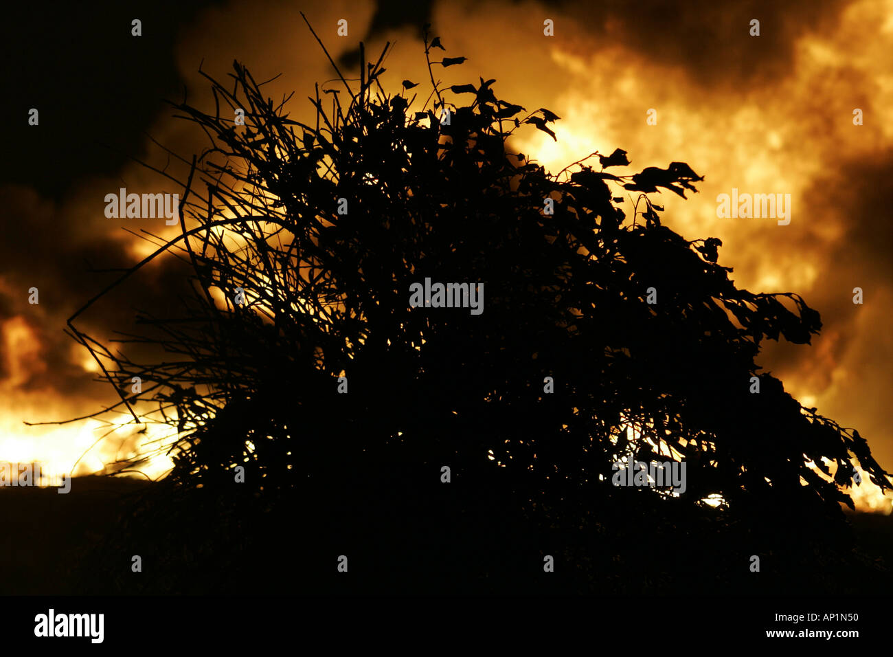 Burning Bush Symbol High Resolution Stock Photography and Images - Alamy