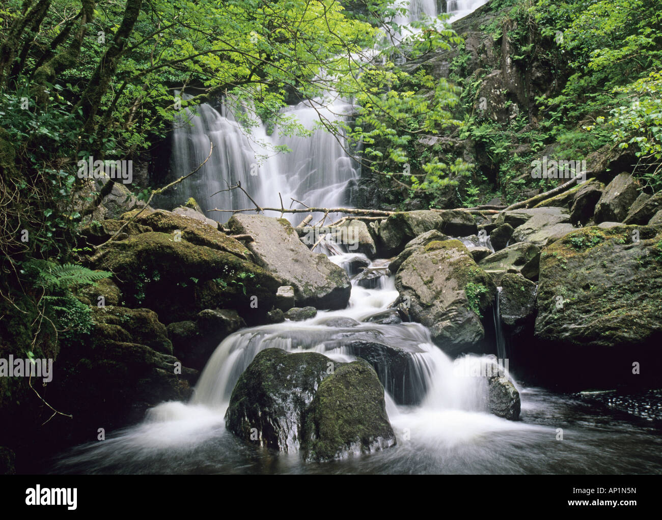 Torc Waterfall Killarney Co Kerry Ireland spring Stock Photo - Alamy
