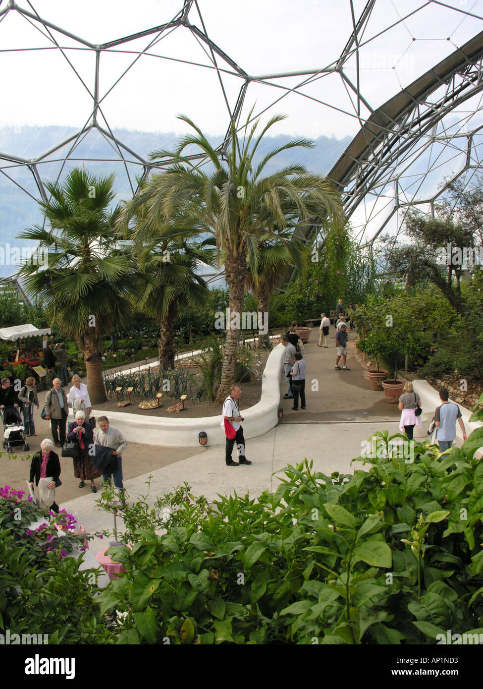 Interior mediterranean biome eden project High Resolution Stock ...
