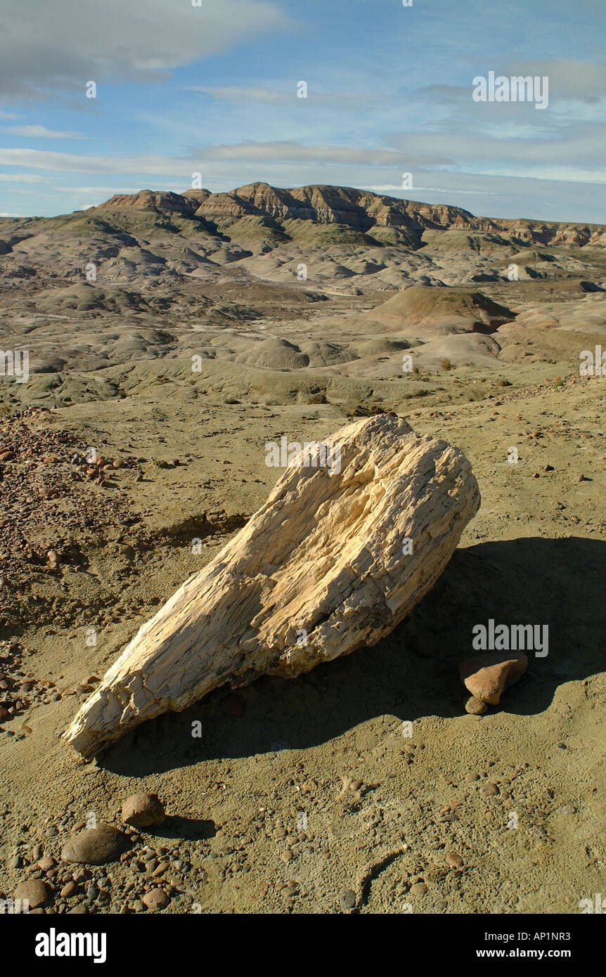 Petrify hi-res stock photography and images - Alamy