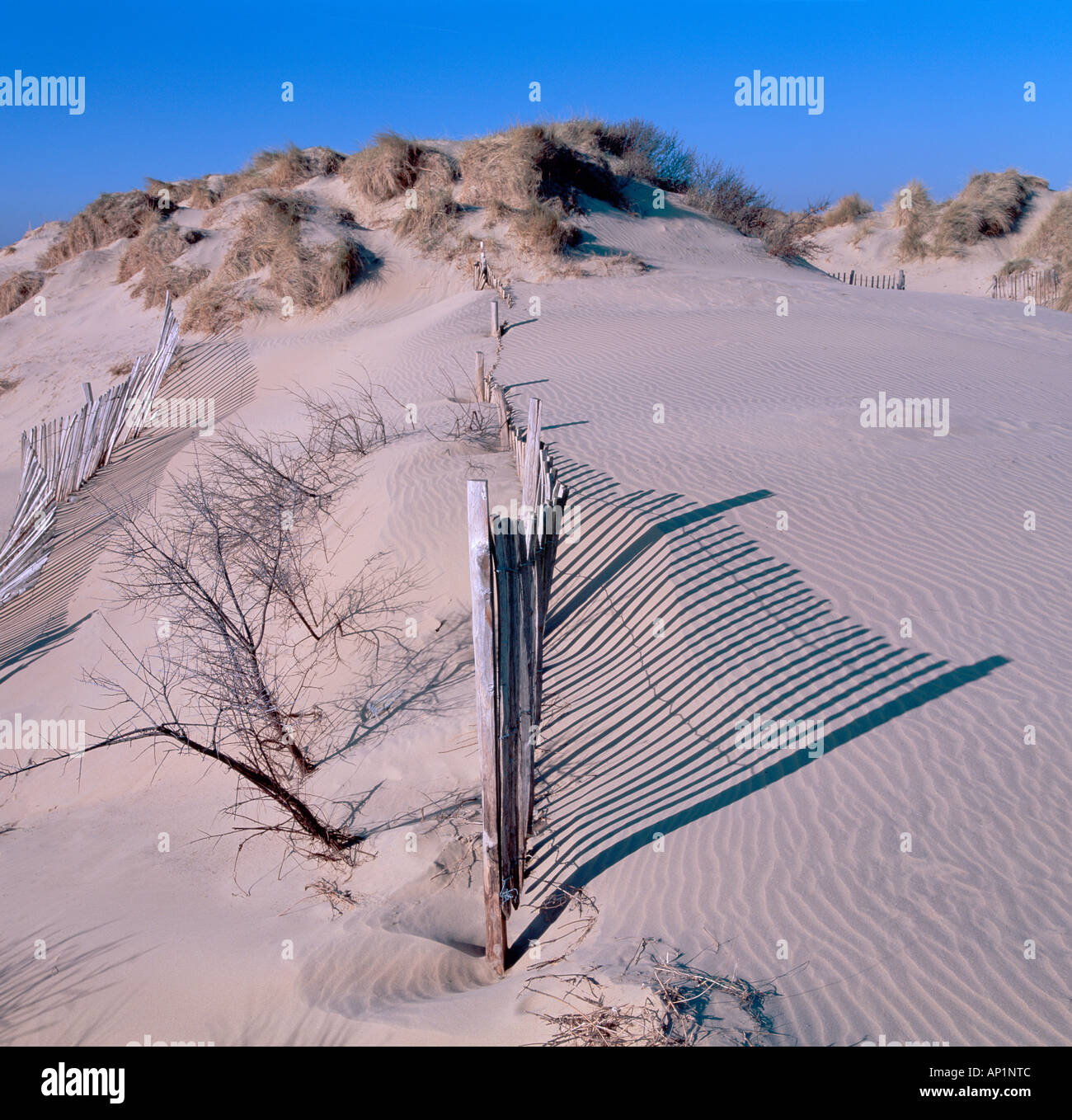 fence amongst the sand dunes Stock Photo - Alamy