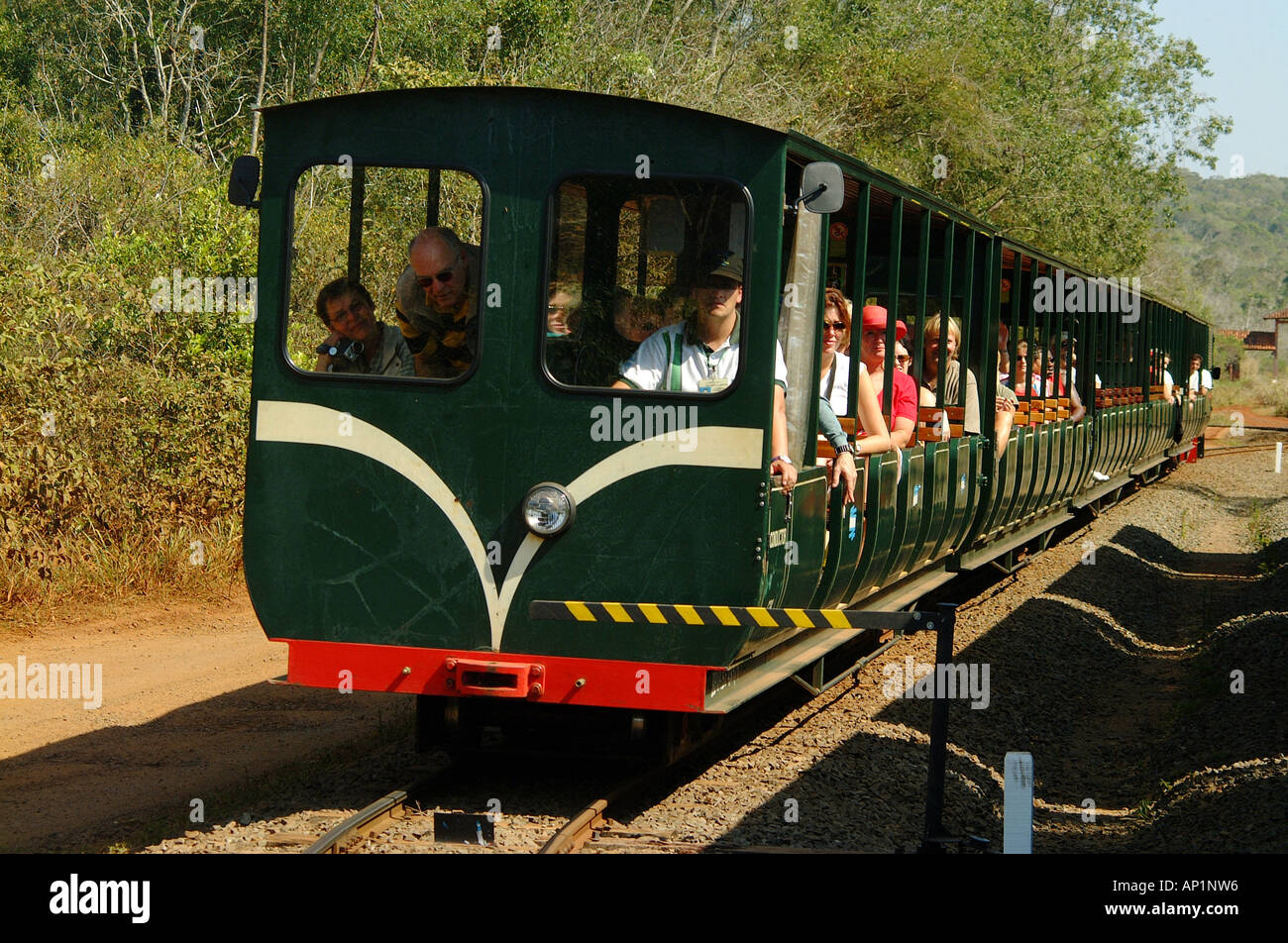 rail, railway, Argentina, green train, green, traveler, tourist, train ...