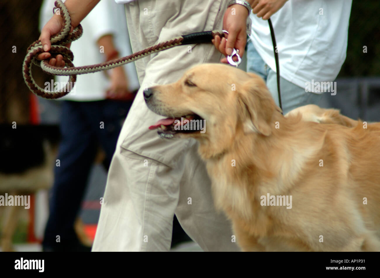 Leesh hi-res stock photography and images - Alamy