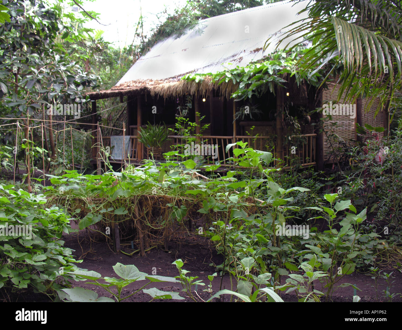 THE EDEN PROJECT BODELVA CORNWALL ENGLAND UK EUROPE Stock Photo - Alamy