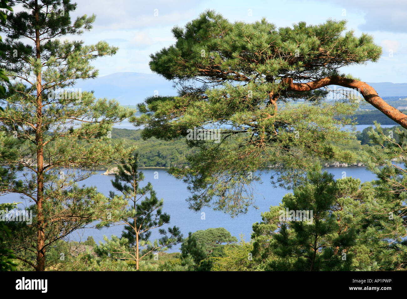 Muckross Lake from Torc Waterfall Stock Photo - Alamy