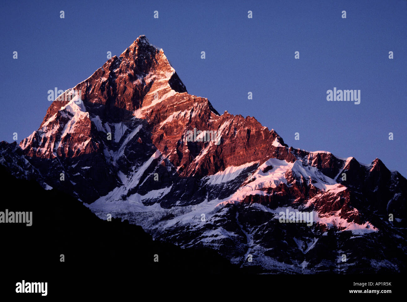 Himalayan SUNSET on MACHUPUCHARE also know as Fishtail Peak ANNAPURNA ...