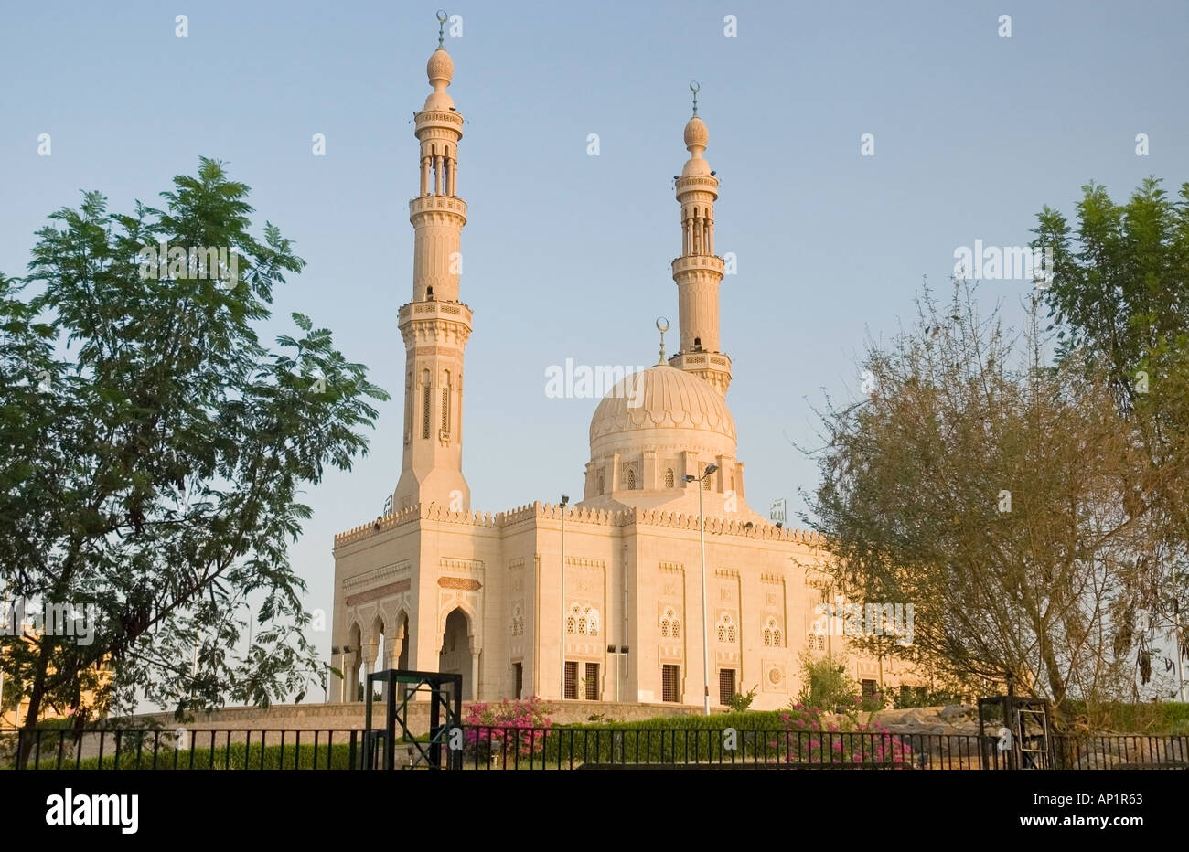 Tabia hi-res stock photography and images - Alamy