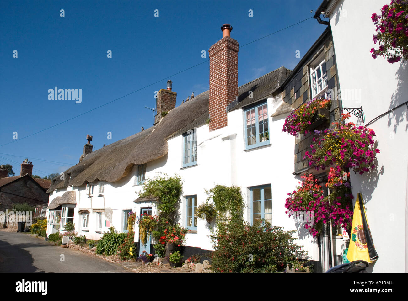 Stokenham hi-res stock photography and images - Alamy