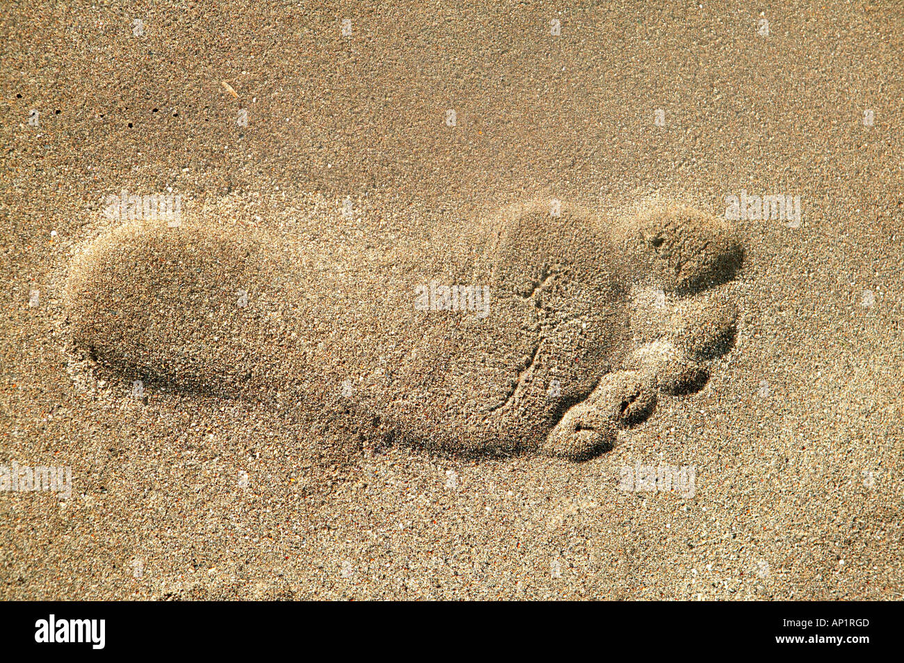 footprint, foot, footprints,earth, detail, details, mark, path ...