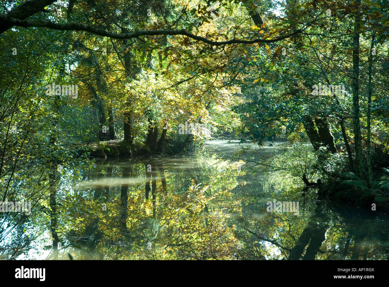 Stover country park hi-res stock photography and images - Alamy