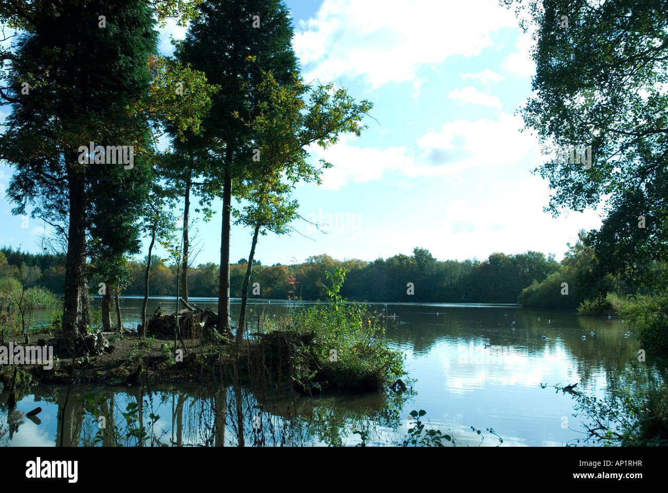 Stover country park and nature reserve hi-res stock photography and ...