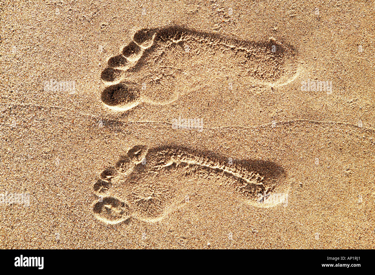 footprint, foot, footprints,earth, detail, details, mark, path ...