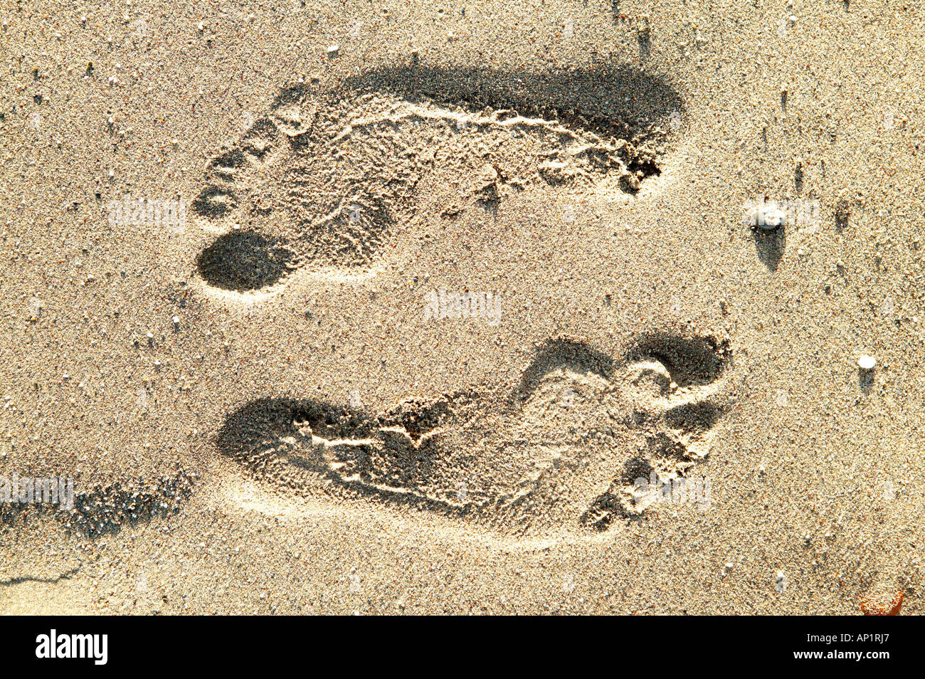 footprint, foot, footprints,earth, detail, details, mark, path ...