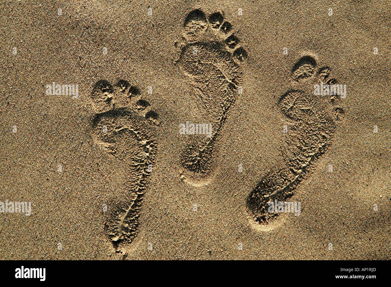 footprint, foot, footprints,earth, detail, details, mark, path ...