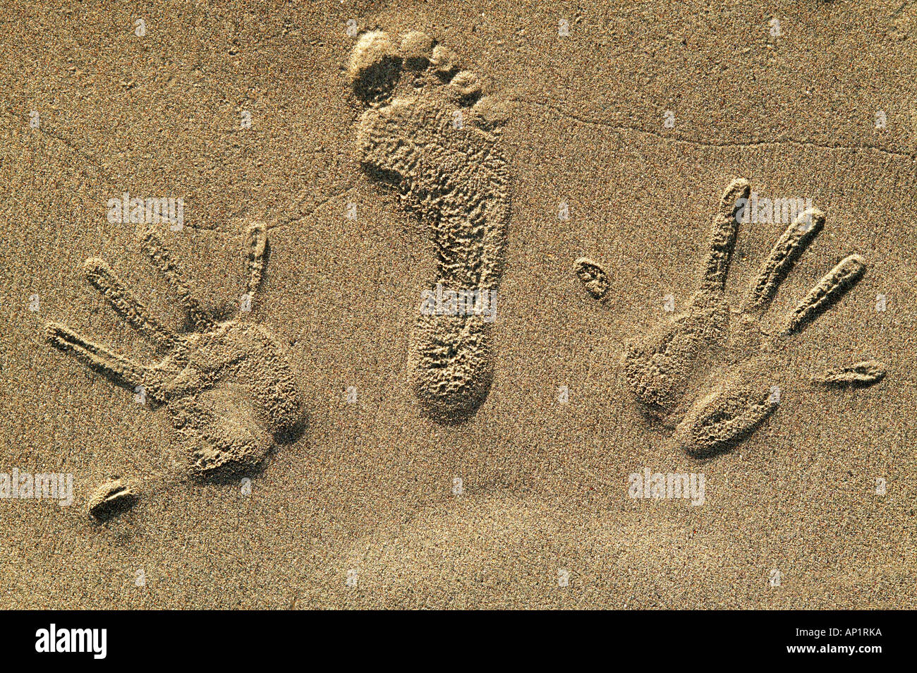 footprint, foot, footprints,earth, detail, details, mark, path ...