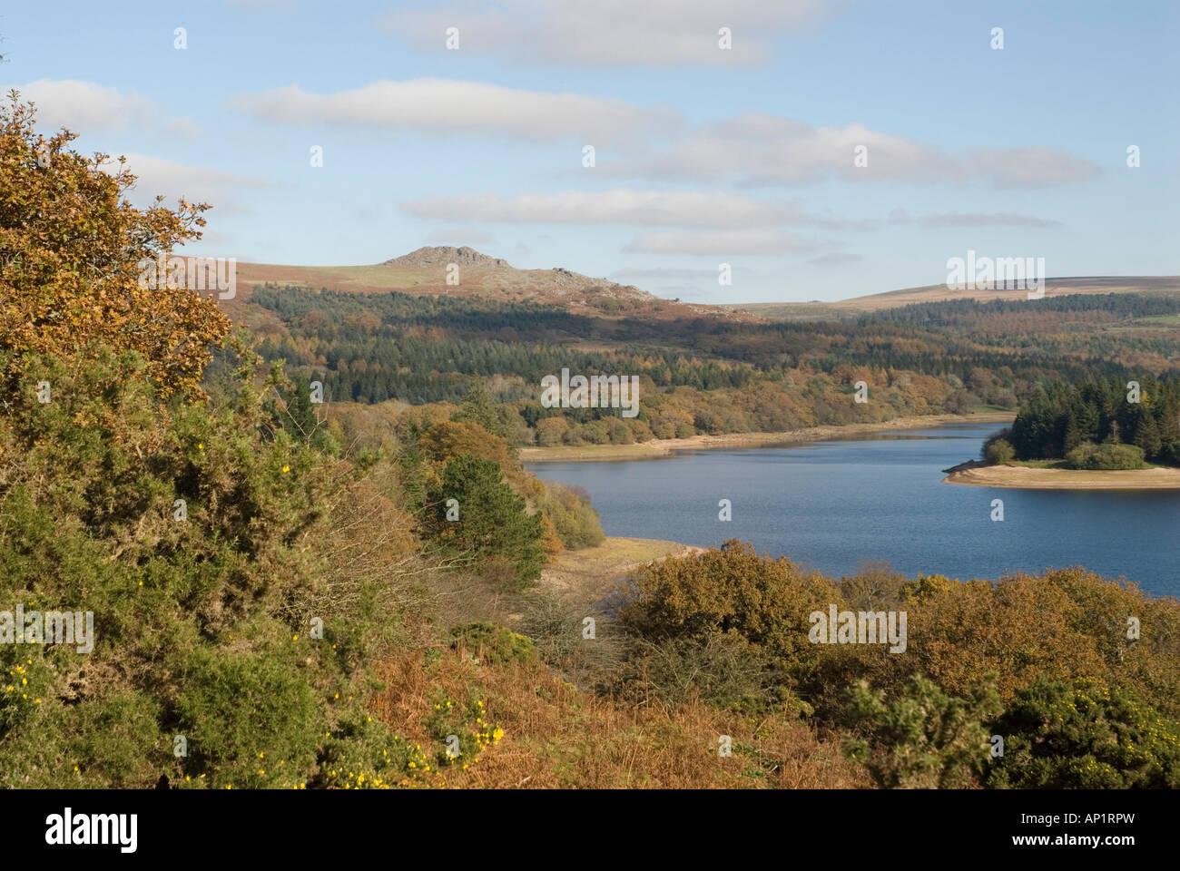 Burrator Reservoirs High Resolution Stock Photography and Images - Alamy