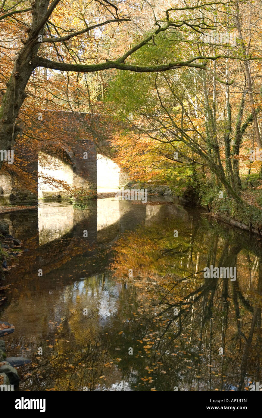 Plymbridge hi-res stock photography and images - Alamy