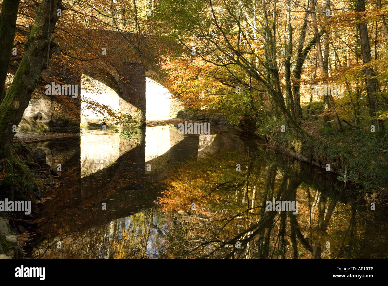 Autumn scene with river and bridge Stock Photo - Alamy