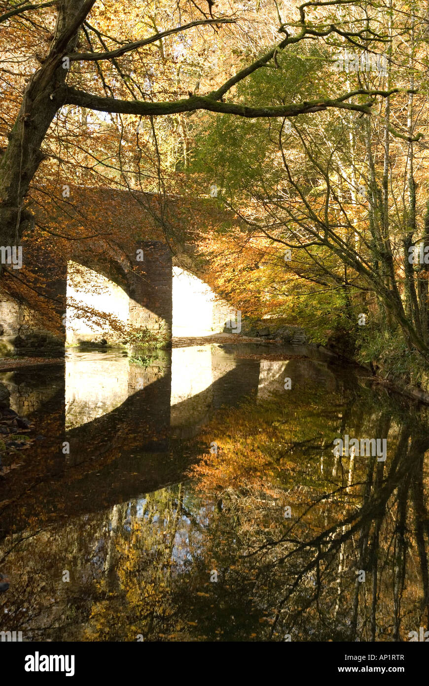 Plymbridge hi-res stock photography and images - Alamy