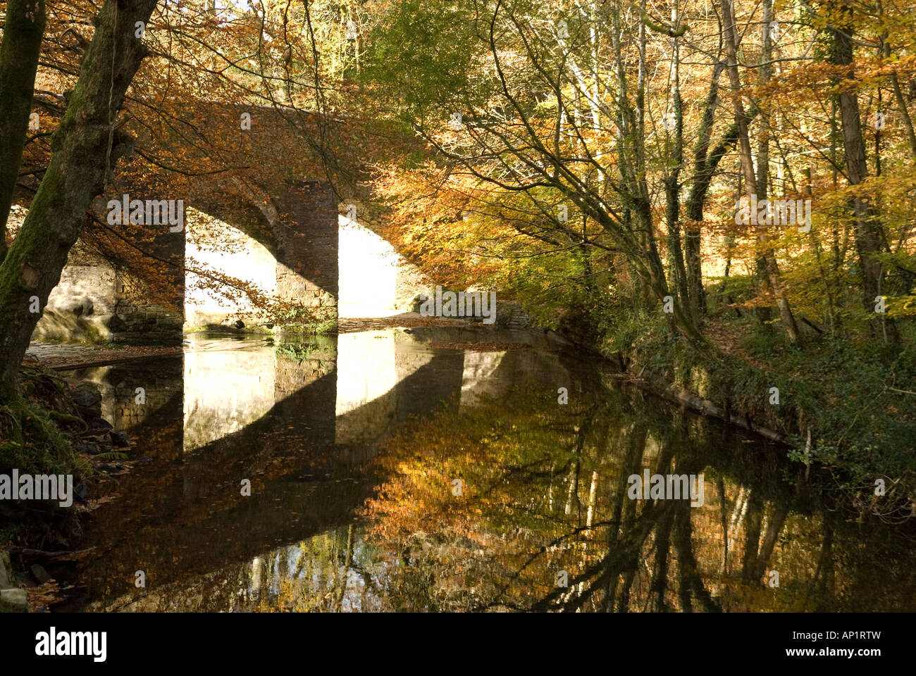 Plymbridge hi-res stock photography and images - Alamy