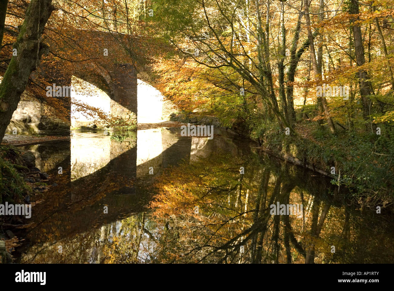 Autumn scene, river and bridge Stock Photo - Alamy