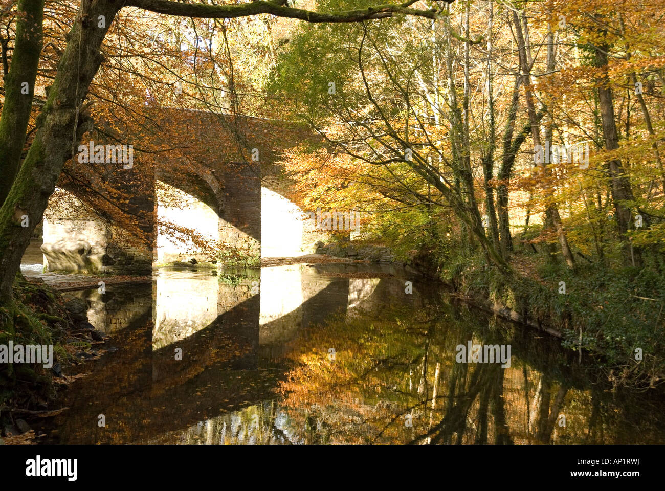 Autumn scene, river and bridge Stock Photo - Alamy