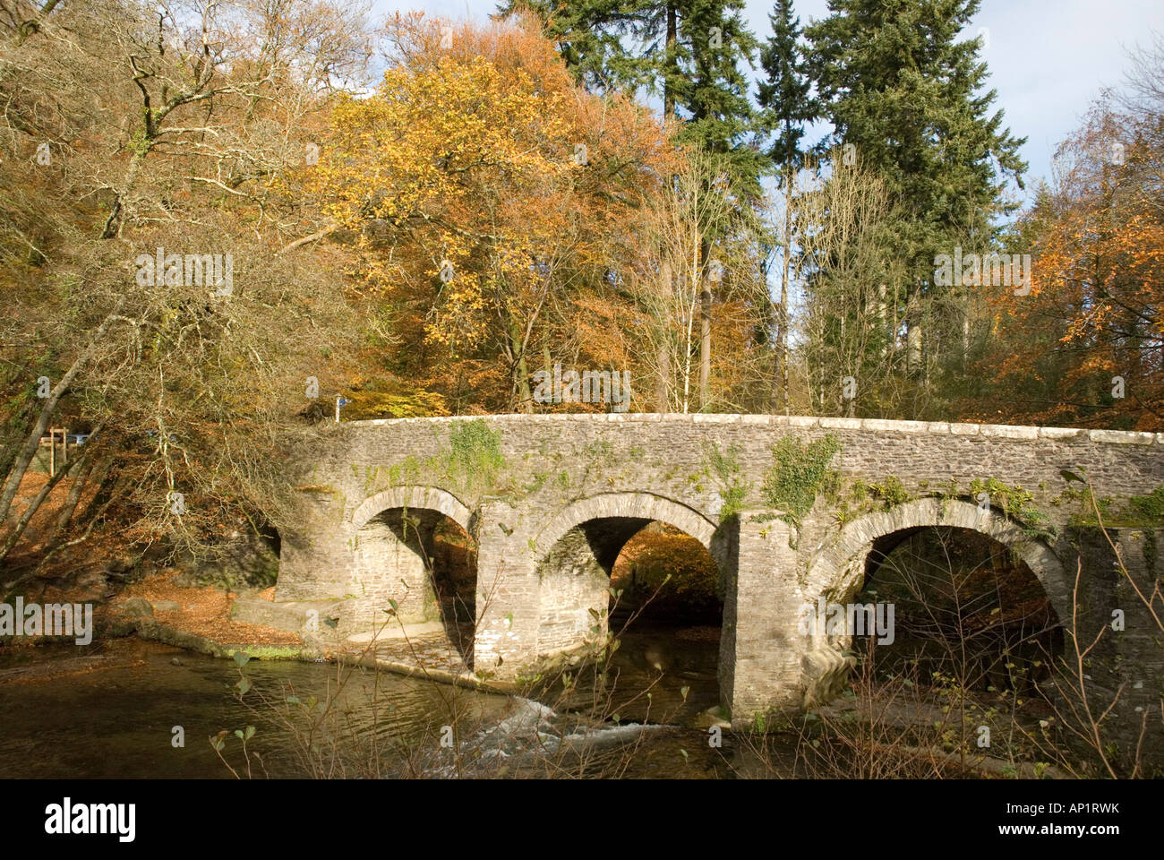 Plymbridge hi-res stock photography and images - Alamy