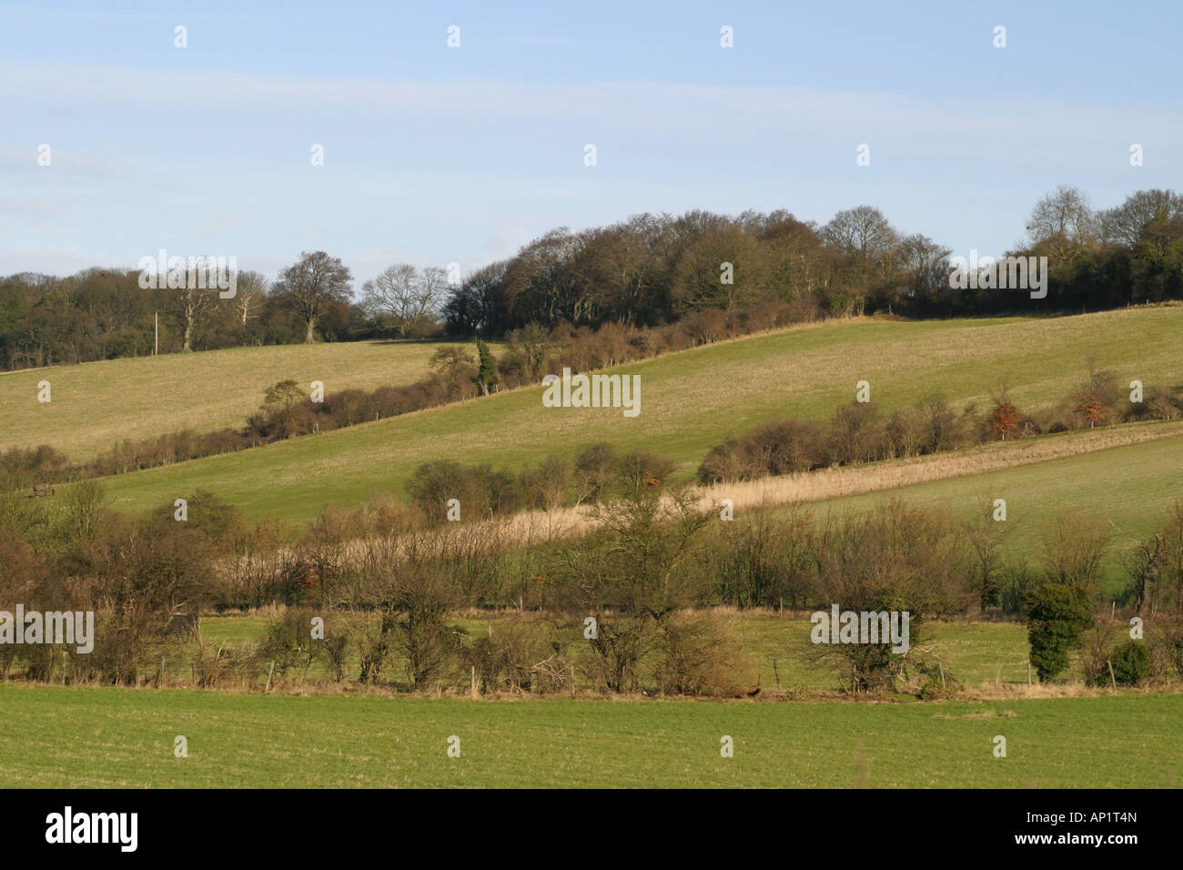 Lilley hertfordshire hi-res stock photography and images - Alamy