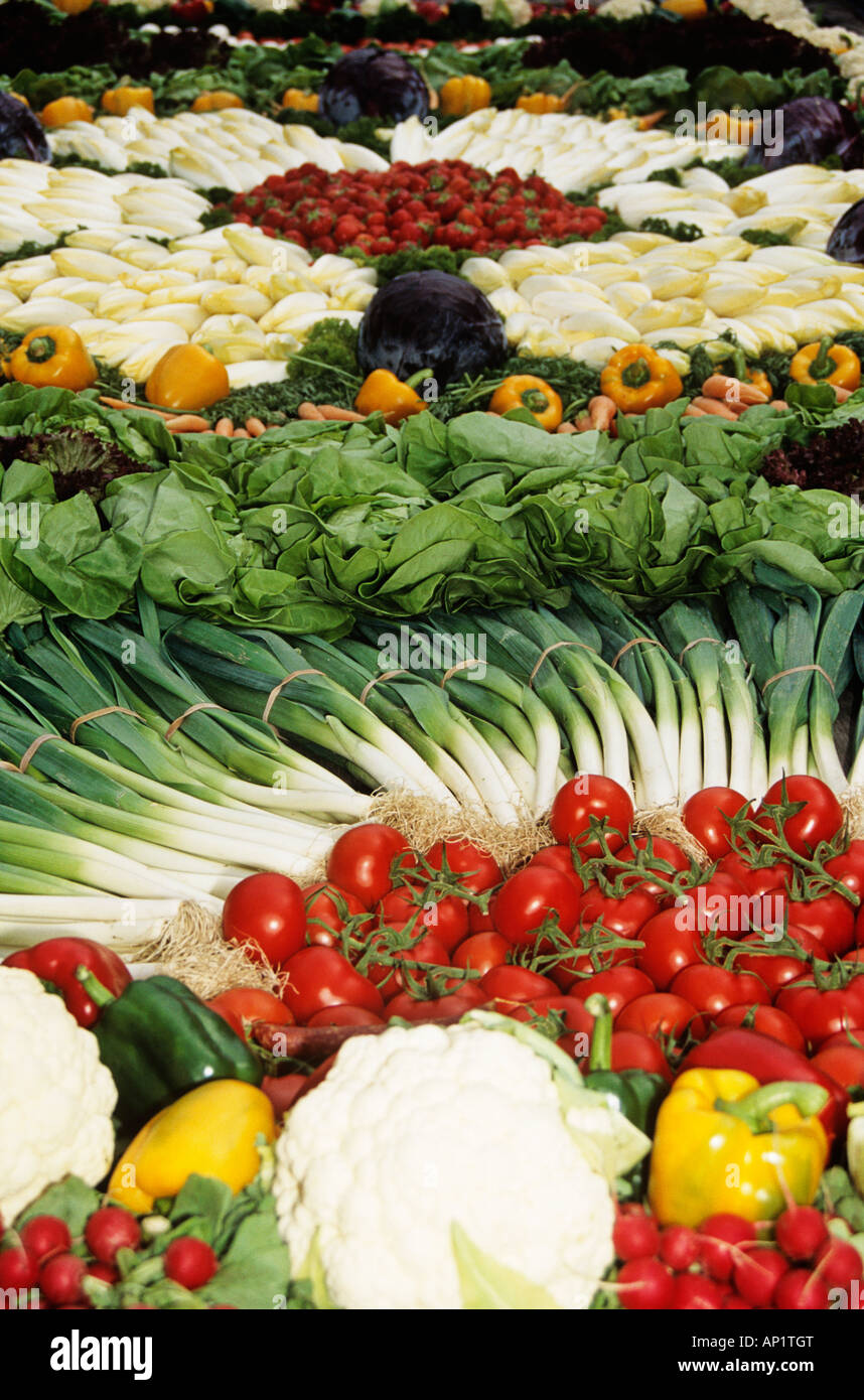 Cookery display cookery hi-res stock photography and images - Alamy