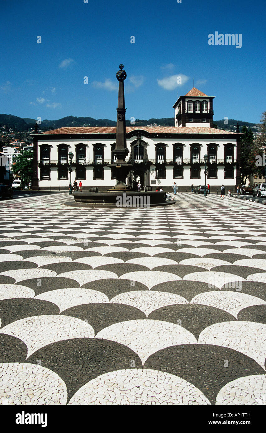 Town Hall, Camara Municipal, Municipal Square, Praca Do Municipio ...