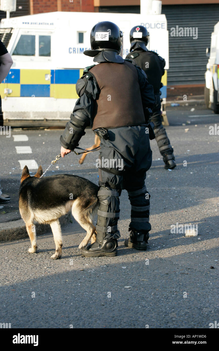 PSNI dog handler in riot gear with dog on crumlin road at ardoyne shops ...
