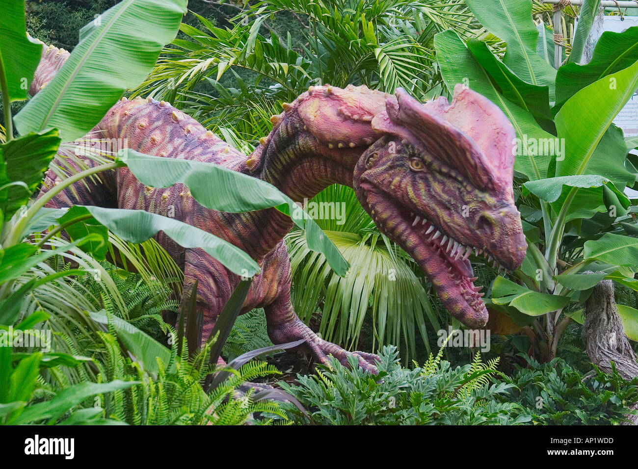 Dilophosaurus which means double crested reptile dinosaur from the ...