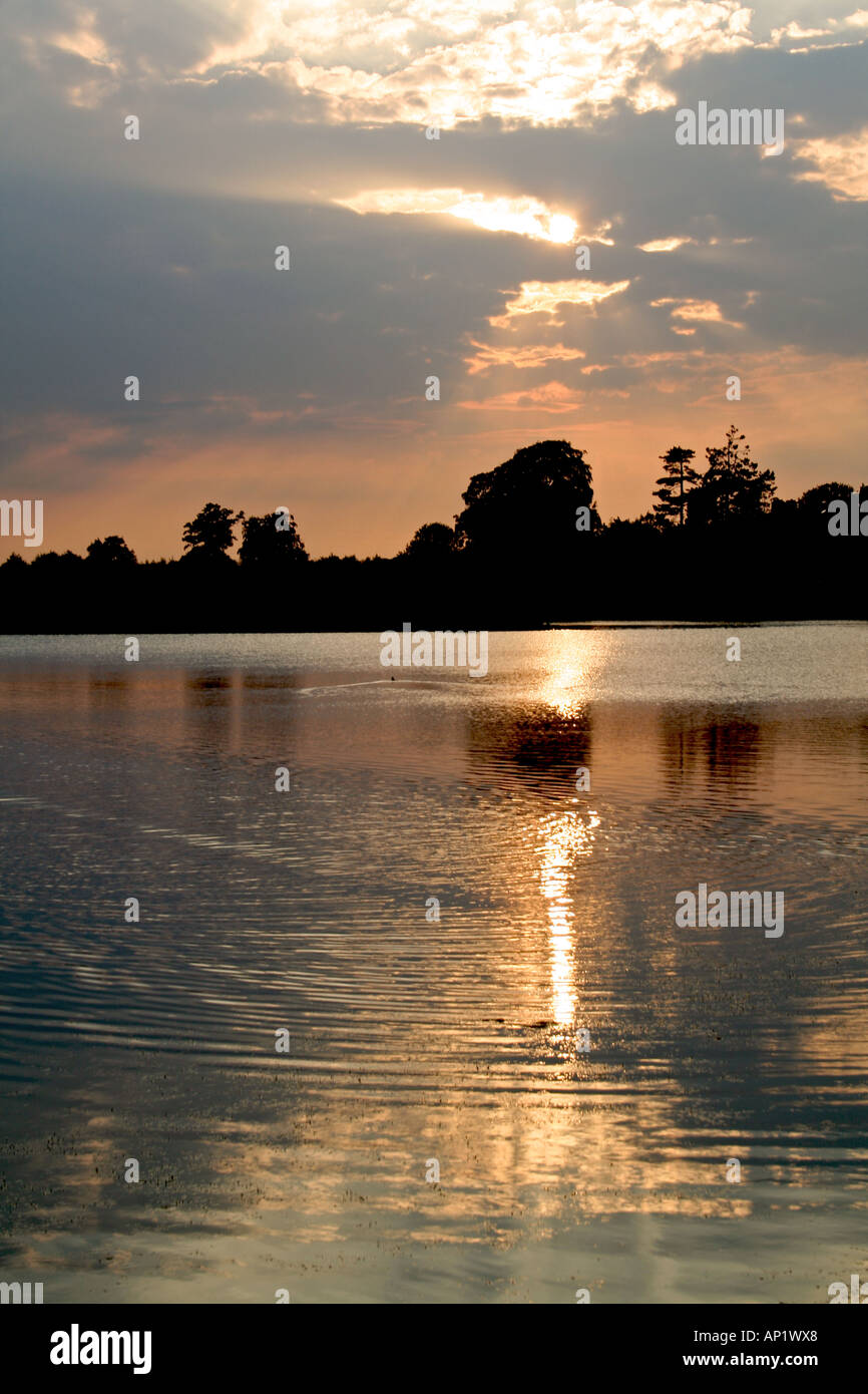 Tree surrounded lake shot over gravel pits in otley hi-res stock ...
