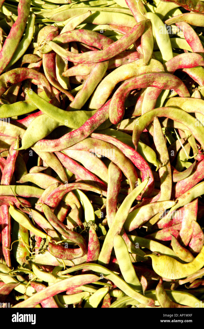 Frijol hi-res stock photography and images - Alamy