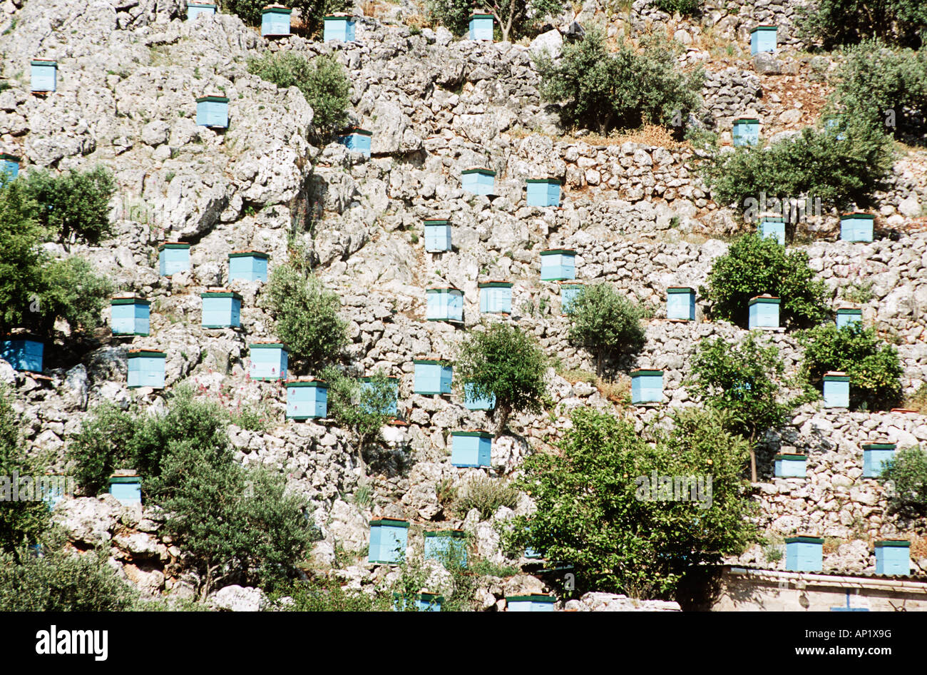 Blue beehives on side of cliff, Kefalonia, Greece Stock Photo - Alamy