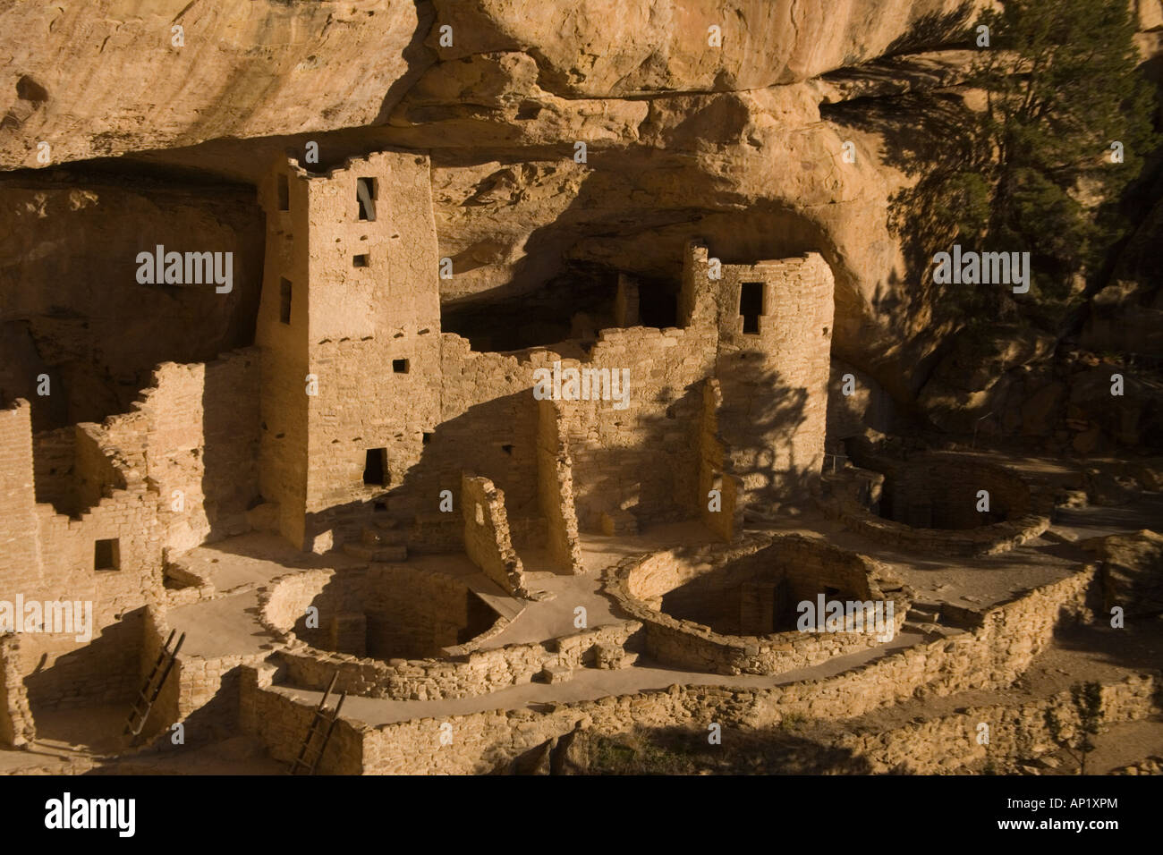 13th century native indian cliff buildings Mesa Verde National Park ...