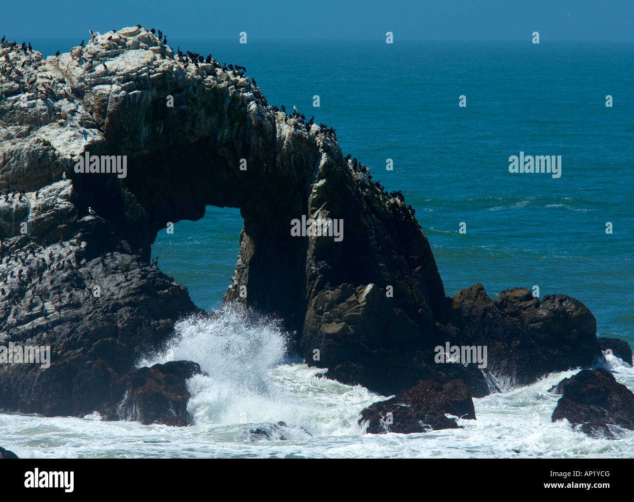 Seal off an area hi-res stock photography and images - Alamy