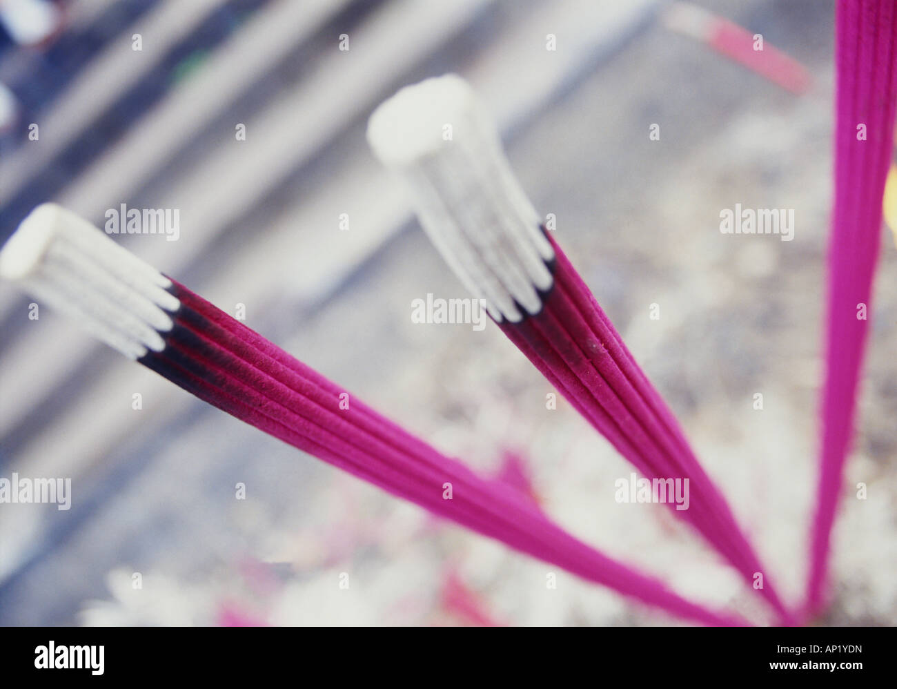 Buddhist pink incense sticks detail Stock Photo - Alamy