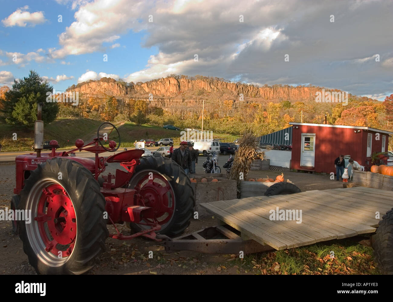 Large red tractor on Dr Davies Farm in late October afternoon sun with ...