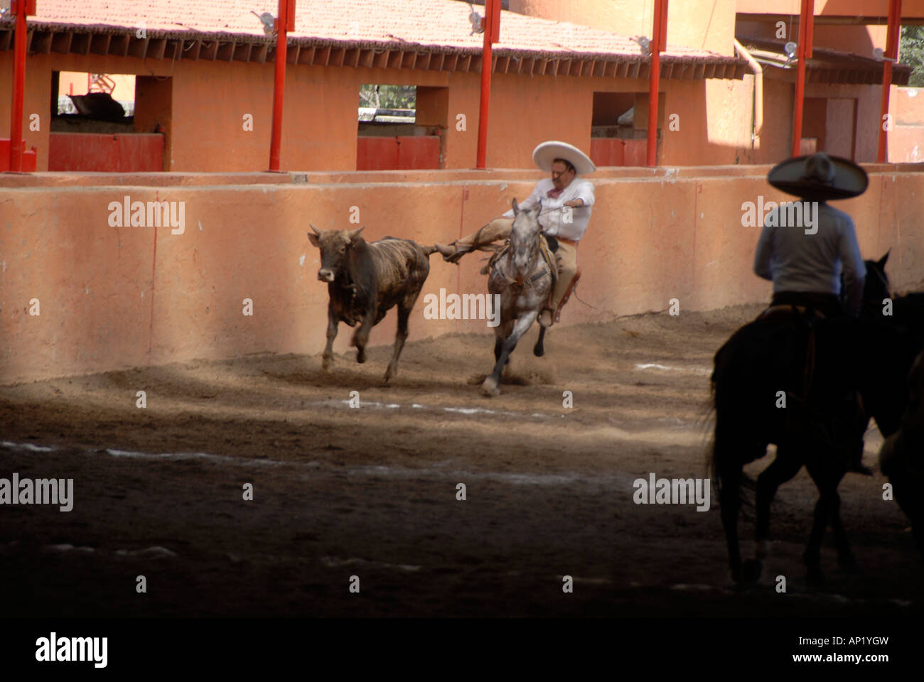 Mexican charreada event hi-res stock photography and images - Alamy