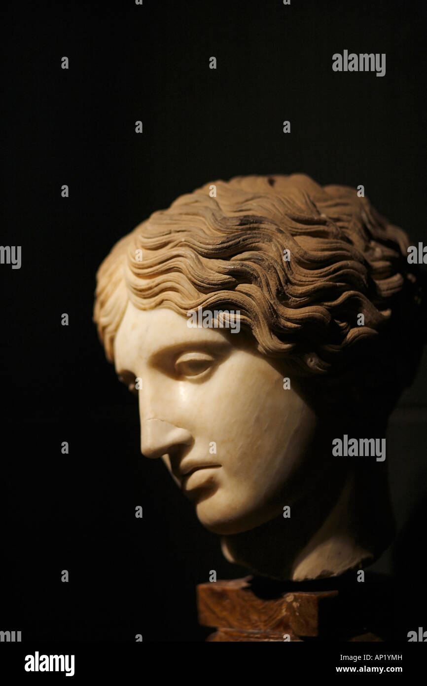 Head of an Amazon, Capitoline Museum, Musei Capitolini, Rome, Italy ...