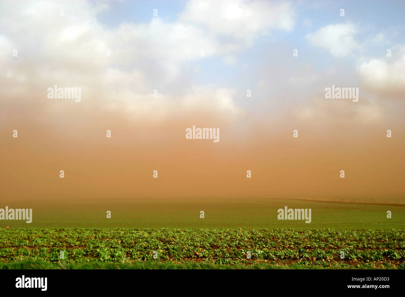 Peat dust hi-res stock photography and images - Alamy